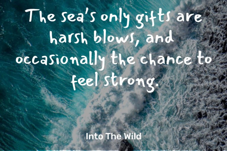 60 Inspiring Into the Wild Quotes to Captivate Your Wanderlust | Daily ...
