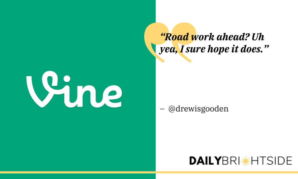 Vine Quotes that Will Make You LOL – Daily Brightside