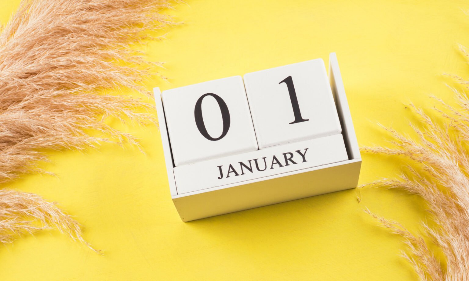 January Quotes to Boost Your New Year | Daily Brightside