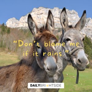 The Best Eeyore Quotes to Brighten Your Day – Daily Brightside