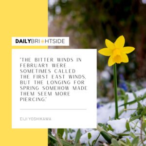 February Quotes to Help You Get Through the Winter – Daily Brightside