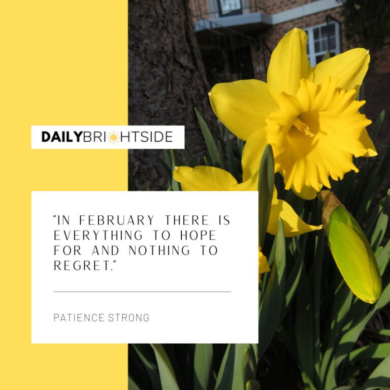 February Quotes to Help You Get Through the Winter – Daily Brightside