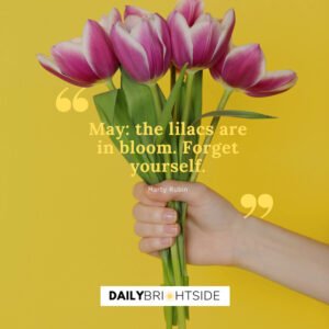 May Quotes That Will Remind You What a Romantic Time of Year It Is ...