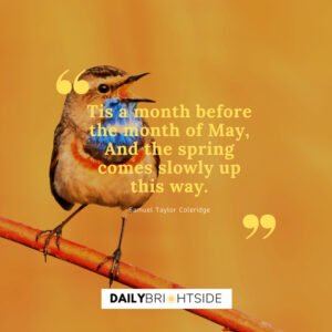 May Quotes That Will Remind You What a Romantic Time of Year It Is ...