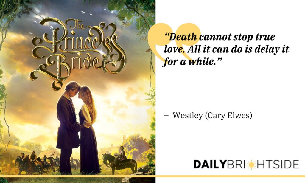 Great Princess Bride Quotes From the Classic Film of the 1980s | Daily ...