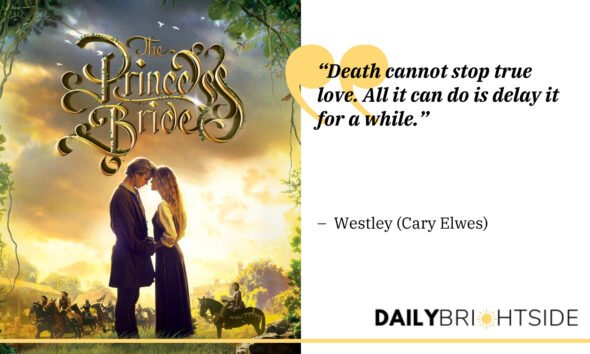 Great Princess Bride Quotes From the Classic Film of the 1980s | Daily ...