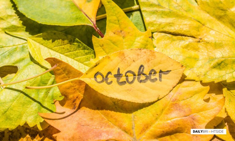 Quotes About October to Welcome Fall – Daily Brightside
