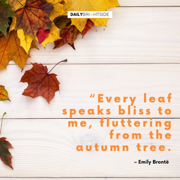 Autumn Quotes that Highlight the Season's Beauty | Daily Brightside