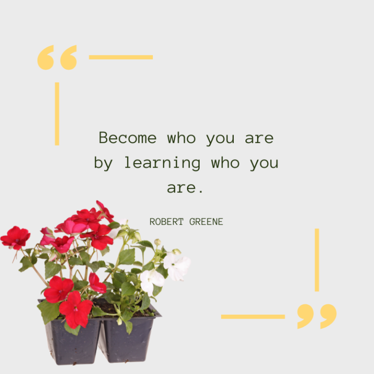 Robert Greene Mastery Quotes to Inspire Creativity and Success – Daily ...