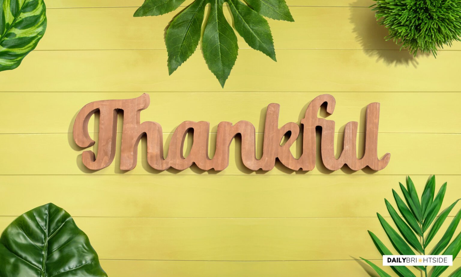 15 Ways to Be Thankful – Daily Brightside