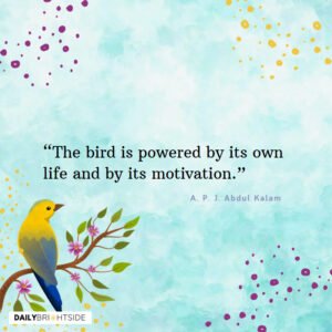 Bird Quotes: Spread Your Wings and Fly – Daily Brightside