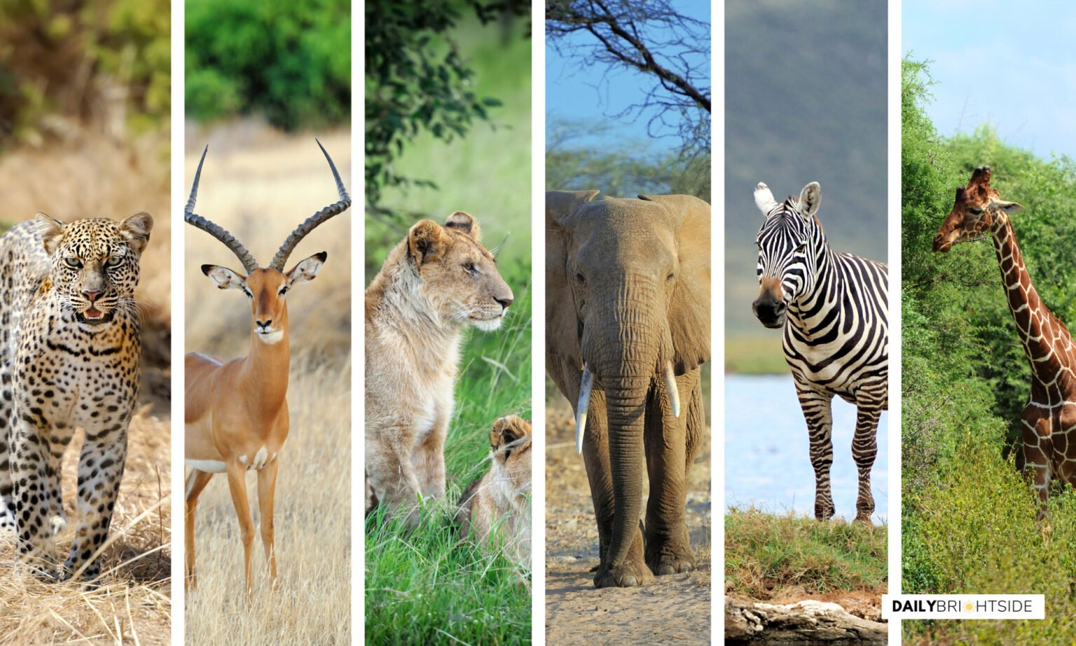 50 Quotes on Power, Morality, and the Other Things Machiavelli Taught ...