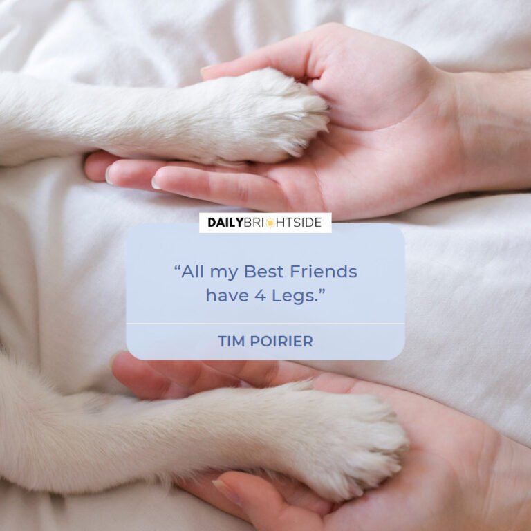 Animal Quotes Honoring Their Importance in Our Lives – Daily Brightside