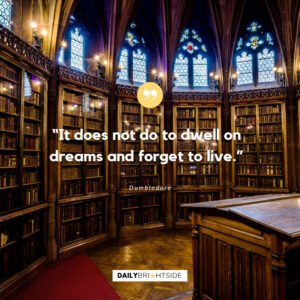 Best of Dumbledore Quotes About Love, Life, Integrity, and Socks ...