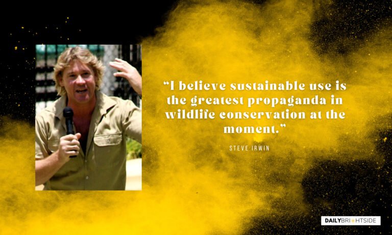 The Most "Crikey" Steve Irwin Quotes Ever | Daily Brightside