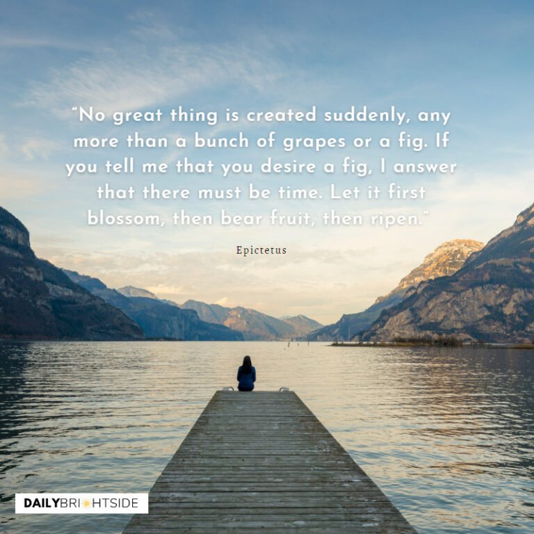 Stoic Quotes that Will Strengthen Your View on Life – Daily Brightside