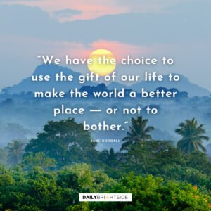 35 Inspirational Daily Quotes | Daily Brightside