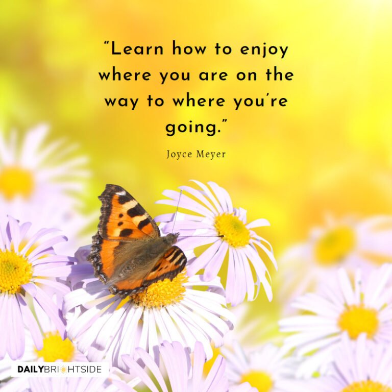 Life-Inspiring Joyce Meyer Quotes | Daily Brightside
