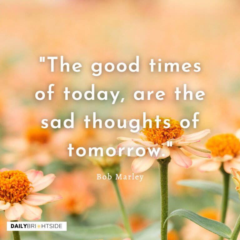 Live Life To The Fullest Quotes – Daily Brightside