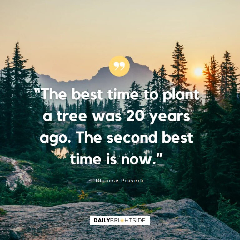 Tree Quotes Will Inspire You To Plant Roots – Daily Brightside