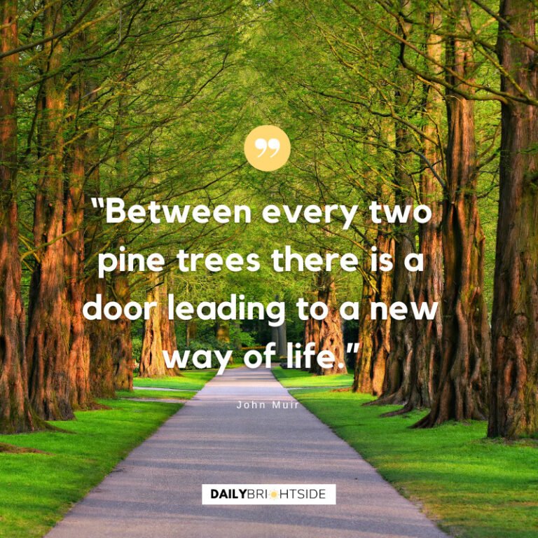 Tree Quotes Will Inspire You To Plant Roots – Daily Brightside
