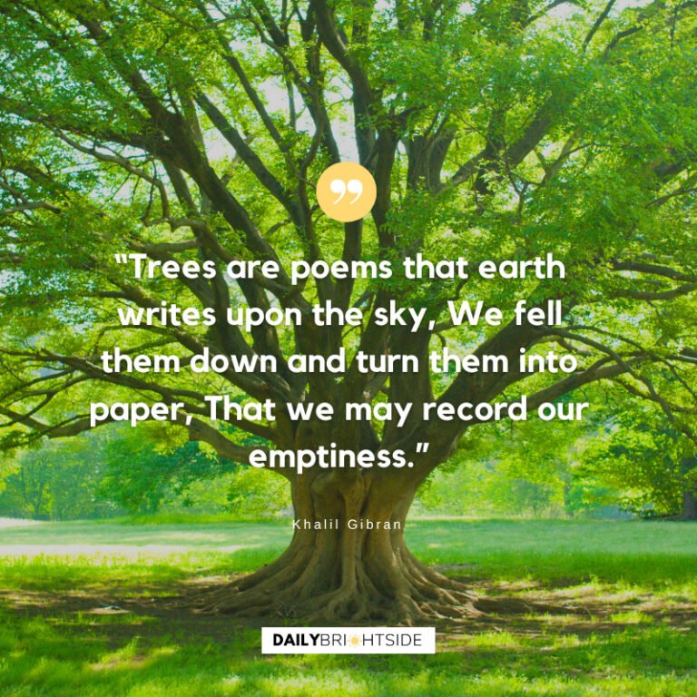 Tree Quotes Will Inspire You To Plant Roots – Daily Brightside