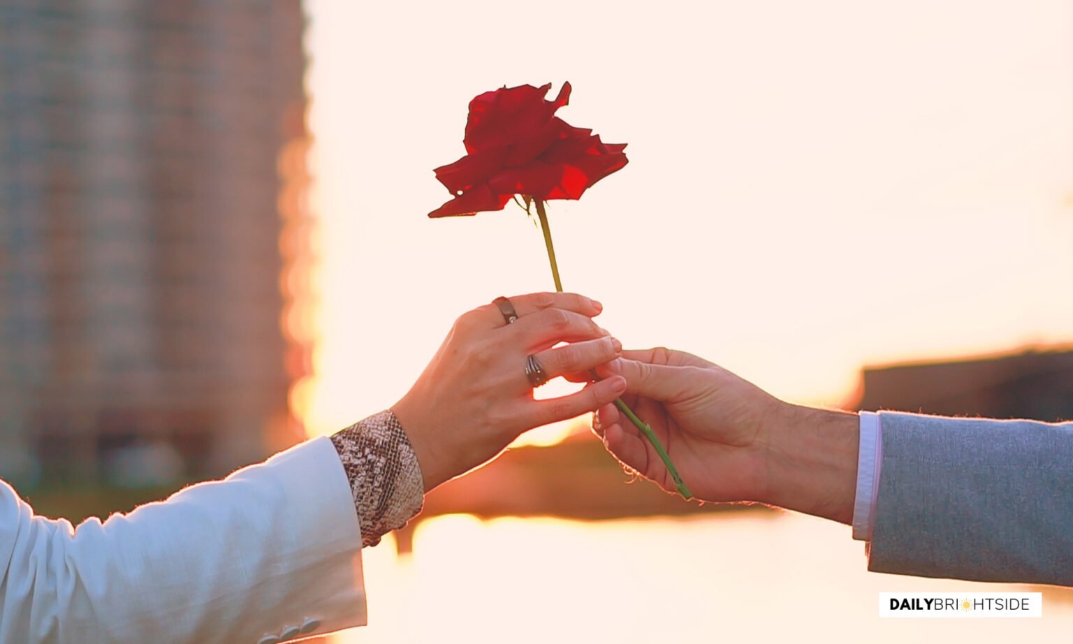 Wise Love Quotes That Brighten Your Soul | Daily Brightside