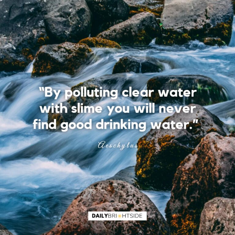 Young Man Quotes & Sayings That Will Inspire You | Daily Brightside